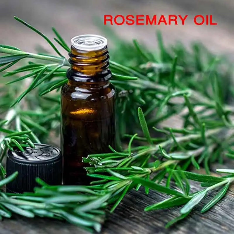 Rosemary Essential Oil 10ml Pack Price in Bangladesh