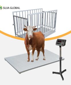 Cattle Weighing Scale Archive - SUJA GLOBAL LTD